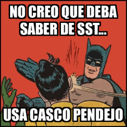 Meme Batman slaps Robin - no creo que deba saber de sst... usa casco ...