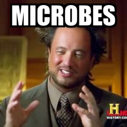 Meme Personalizado - MICROBES - 33200850