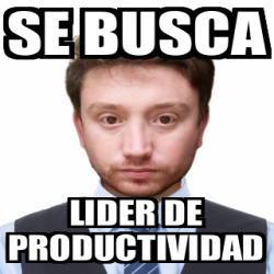 Meme Personalizado - se busca lider de productividad - 33201414
