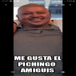 Meme Personalizado - Me gusta el Pichingo amiguis - 33202379