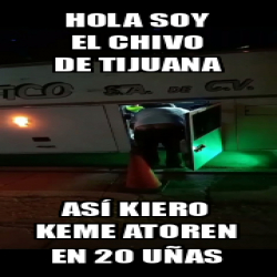 Meme Personalizado - Hola soy el chivo de Tijuana Así kiero keme atoren ...