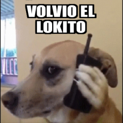 Meme Personalizado - Volvio el lokito - 33204108