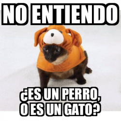 Meme Personalizado - No entiendo ¿es un perro, o es un gato? - 33205470