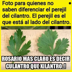 Meme Personalizado - ROSARIO MAS CLARO ES DECIR CULANTRO QUE XILANTRO ...