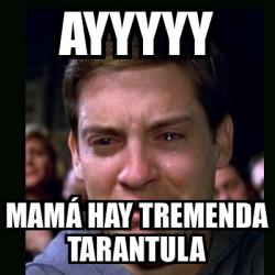 Meme crying peter parker - Ayyyyy Mamá hay tremenda tarantula - 33213042