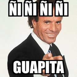 Meme Julio Iglesias - Ñi ñi ñi ñi Guapita - 33216583