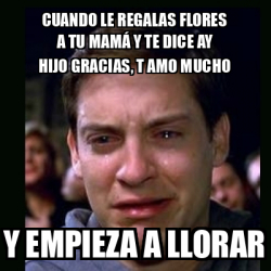 Meme crying peter parker - Cuando le regalas flores a tu mamá y te dice ...