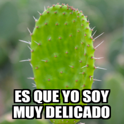 Meme Personalizado - ES QUE YO SOY MUY DELICADO - 33222239