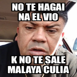 Meme Personalizado - NO TE HAGAI NA EL VIO K NO TE SALE MALAYA CULIA ...