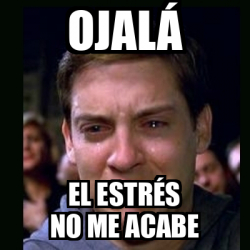 Meme crying peter parker - Ojalá El estrés no me acabe - 33223687