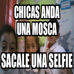 Meme Personalizado - Chicas anda una mosca sacale una selfie - 33224001