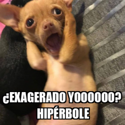 Meme Personalizado - ¿EXAGERADO YOOOOOO? hipérbole - 33225556