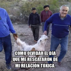 Meme Personalizado - COMO OLVIDAR EL DÍA QUE ME RESCATARON DE MI ...