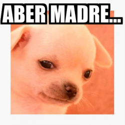 Meme Personalizado - ABER MADRE... - 33233463