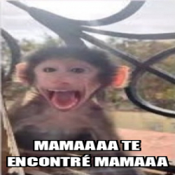 Meme Personalizado - Mamaaaa te encontré mamaaa - 33236620