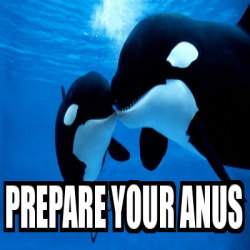 Meme Personalizado - Prepare your anus - 33237794