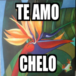 Meme Personalizado - Te amo Chelo - 33241296