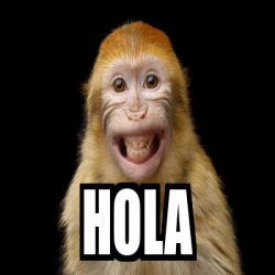 Meme Personalizado - hola - 33241372