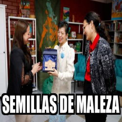 Meme Personalizado - semillas de maleza - 33241734