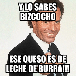Meme Julio Iglesias - Y lo sabes Bizcocho Ese queso es de leche de ...