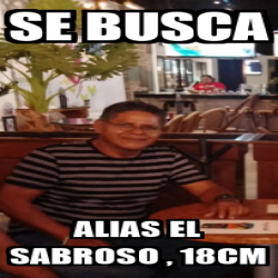 Meme Personalizado - Se busca Alias el sabroso , 18cm - 33242696