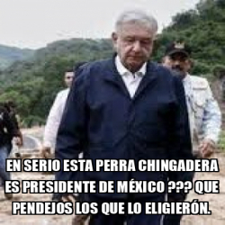 Meme Personalizado - En serio esta perra chingadera es presidente de ...