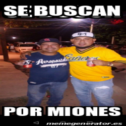 Meme Personalizado - Se buscan Por miones - 33243571