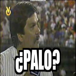 Meme Personalizado - ¿PALO? - 33244002