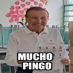 Meme Personalizado - Mucho pingo - 33244776