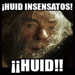 Meme Personalizado - ¡HUID insensatos! ¡¡huid!! - 33254000