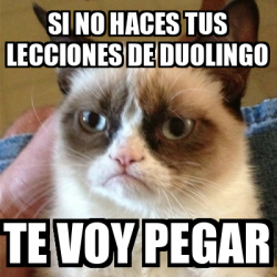 Meme Grumpy Cat - Si no haces tus lecciones de duolingo Te voy pegar ...