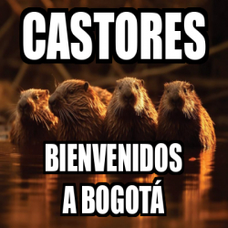 Meme Personalizado - castores bienvenidos a bogotá - 33260851