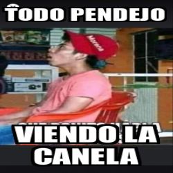 Meme Personalizado - TODO PENDEJO VIENDO LA CANELA - 33261623
