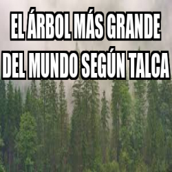 Meme Personalizado - El árbol más grande del mundo según talca - 33263241