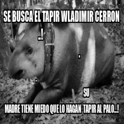 Meme Personalizado - SE BUSCA EL TAPIR WLADIMIR CERRON ..! . . SU MADRE ...