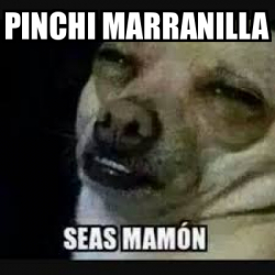 Meme Personalizado - Pinchi Marranilla - 33267452