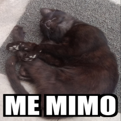 Meme Personalizado - Me mimo - 33271706