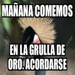 Meme Personalizado - MAÑANA COMEMOS EN LA GRULLA DE ORO. ACORDARSE ...