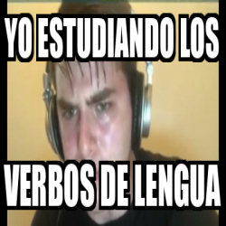 Meme Personalizado - yo estudiando los verbos de lengua - 33272857
