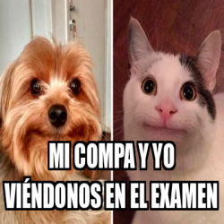 Meme Personalizado - Mi compa y yo viéndonos en el examen - 33273252