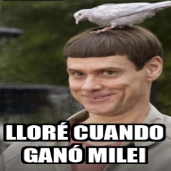 Meme Personalizado - Lloré cuando ganó Milei - 33273408
