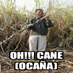 Meme Personalizado - Oh!!! Cane (Ocaña) - 33274330