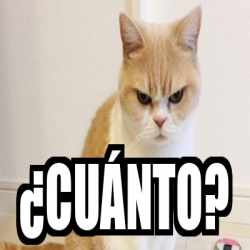 Meme Personalizado - ¿Cuánto? - 33274943