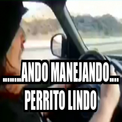 Meme Personalizado - ........Ando manejando.... perrito lindo - 33282431