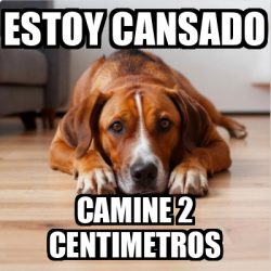Meme Personalizado - Estoy cansado Camine 2 centimetros - 33283145