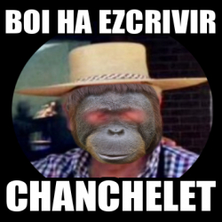 Meme Personalizado - Boi ha ezcrivir Chanchelet - 33285501