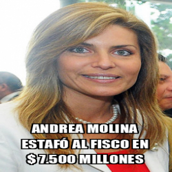 Meme Personalizado - Andrea Molina estafó al fisco en $ 7.500 millones ...