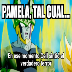 Meme Personalizado - pamela, tal cual... - 33287058