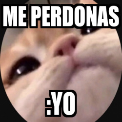 Meme Personalizado - Me perdonas :yo - 33288082