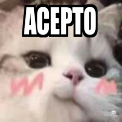 Meme Personalizado - acepto - 33288725